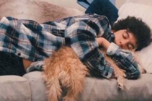 Joseph Herbert Jr. Biography- Net Worth, Parents, Girlfriend | BiographySet